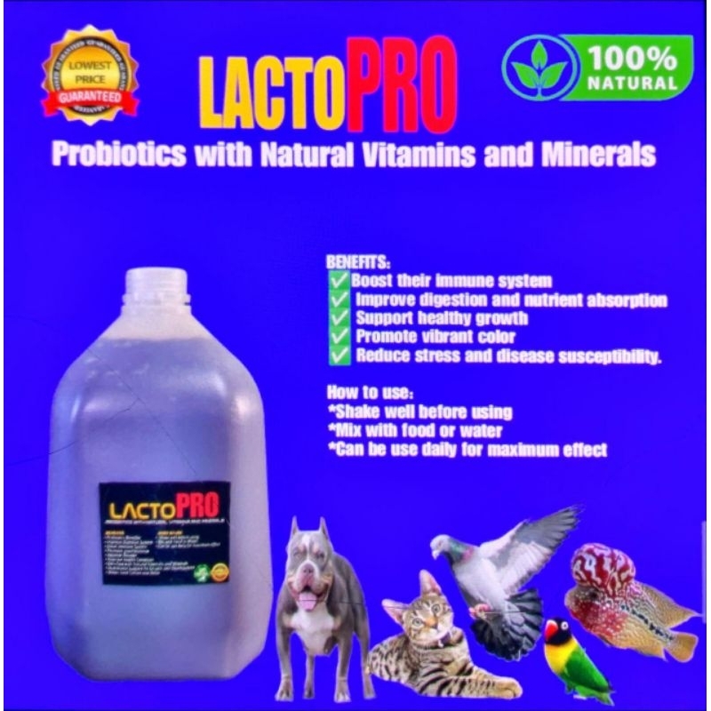Lacto PRO Probiotics with Natural Vitamins and Minerals 1 Gallon ...