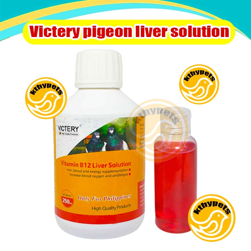Victery Vitamin B12 Liver Solution for pigeons racing and breeder ...