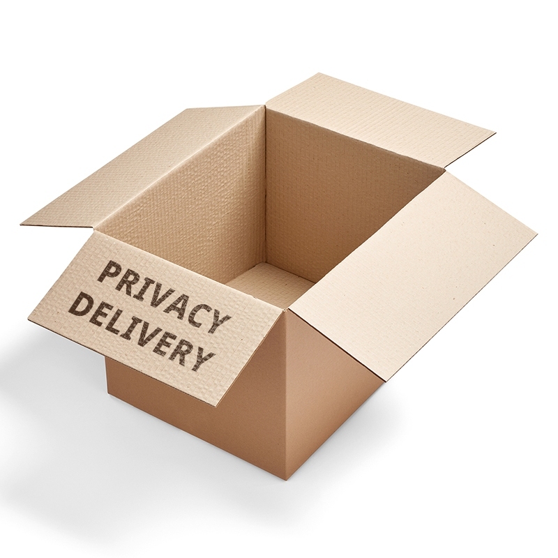 LEMEZEE Cardboard Box Packaging to protect your privacy (1 ORDER 1 BOX ...