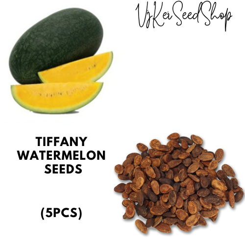 Watermelon Tiffany Seeds (5pcs) | Shopee Philippines