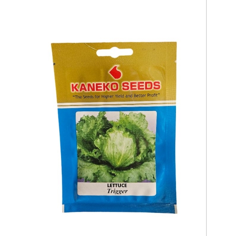Lettuce Trigger Kaneko Seeds | Shopee Philippines