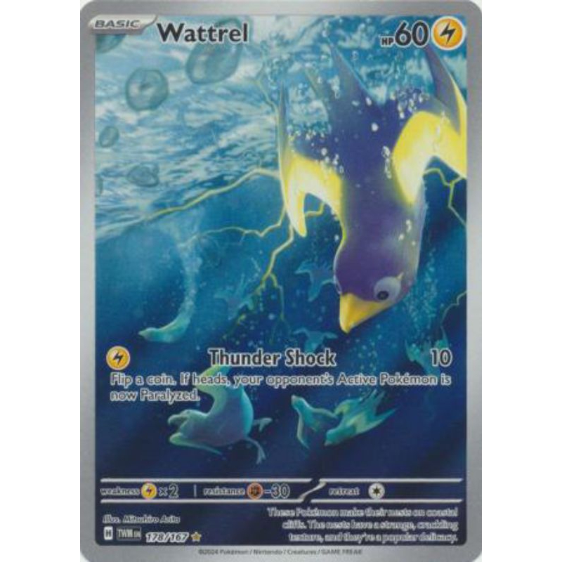 Pokemon Card, Wattrel 178/167, Illustration Rare. (ENGLISH TYPE ...