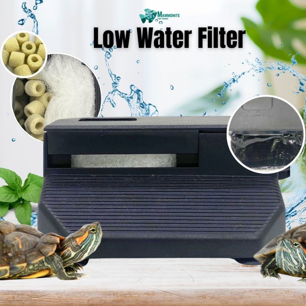 Low Water Level Filter for Turtle Tank and Reptile Tank Feeding Basin ...