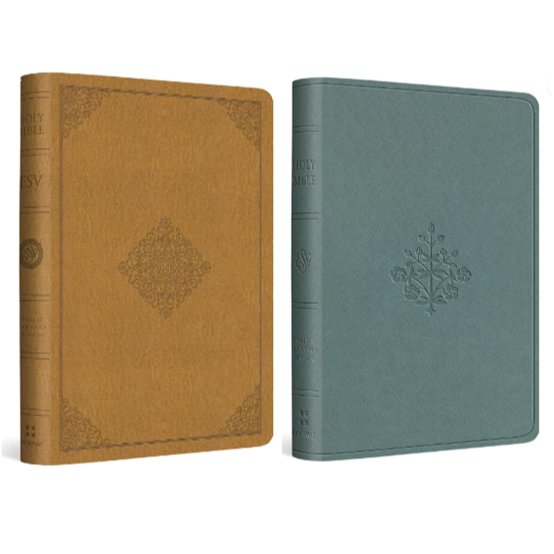 ESV VALUE COMPACT BIBLE (TruTone, Paris Sky, Branch Design, Goldenrod ...