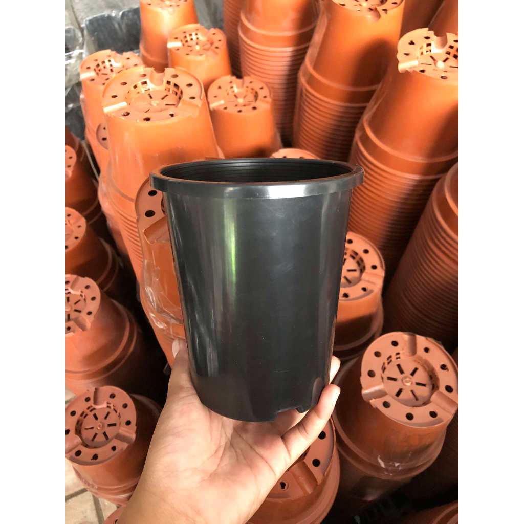 5 PCS Black Classic Round Pot 5 inches x 5 inches - Best for Indoor and ...