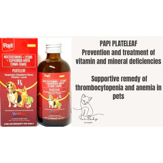 PAPI Plateleaf Multivitamins & Minerals Syrup 120ML (Strawberry) for ...