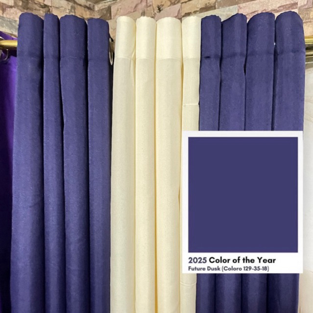 [onhand] Future Dusk color of the Year 2025 Plain Shade (2-10ft) sold ...