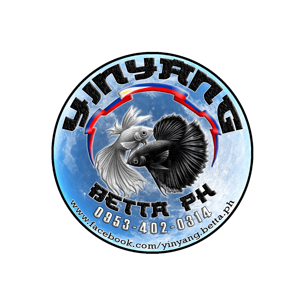 Yinyang Betta Ph Talisay Extract * | Shopee Philippines