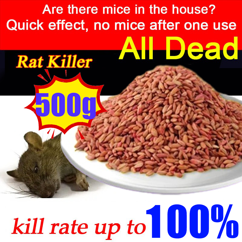 1000x stronger than a cat big rat killer poison 500g Harmless to people ...