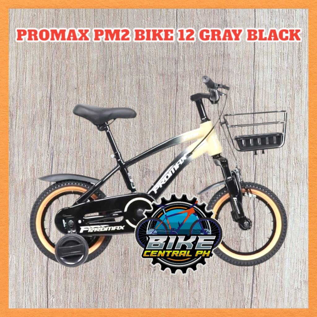 Bike For Kids Promax 12/16 | Shopee Philippines
