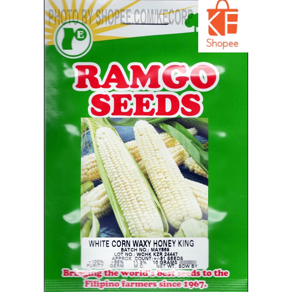 Ramgo White Corn Waxy RPD Seeds kcS11207 | Shopee Philippines