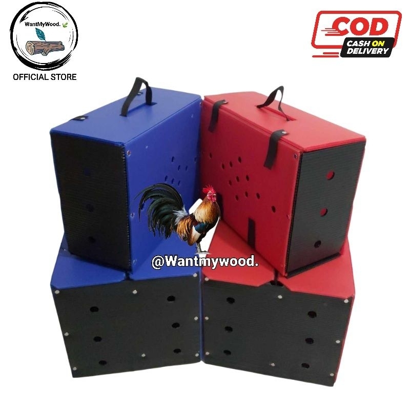 Plastic Derby Box Collapsible - SINGLE|DOUBLE | Shopee Philippines