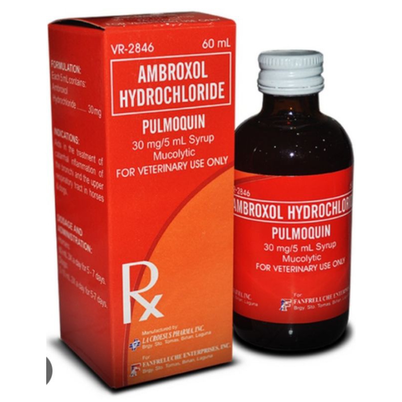 Pulmoquin Syrup for Pet 60ml | Shopee Philippines