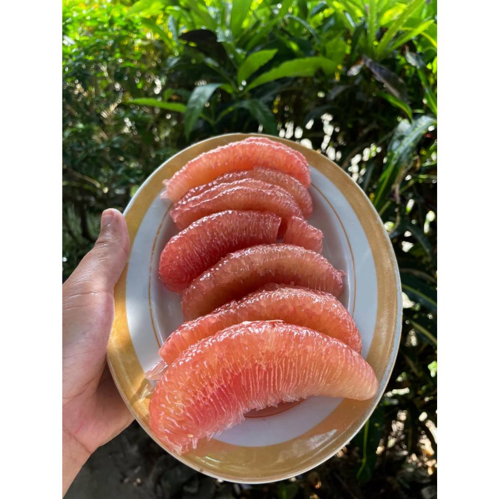 Davao Pomelo/Sweet Juicy Pomelo/Suha/Boongon | Shopee Philippines
