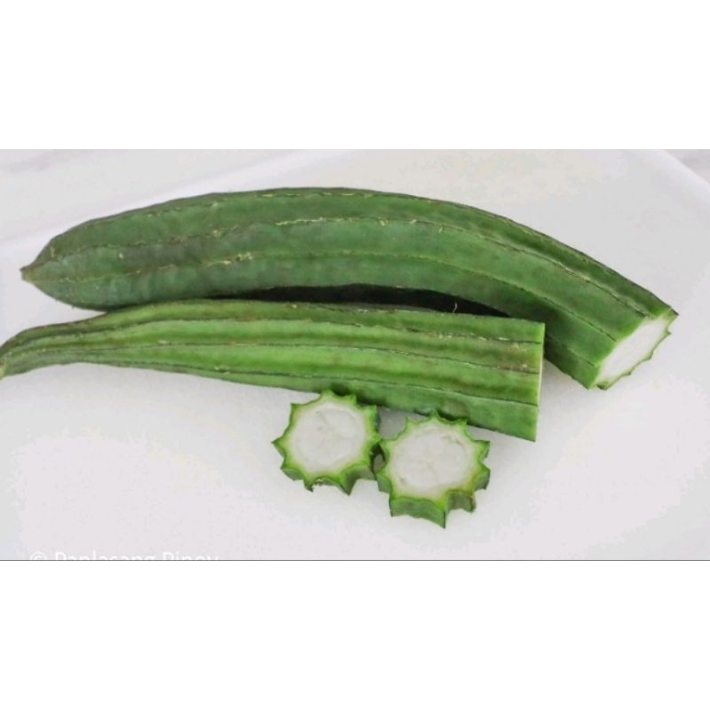 Patola Seeds Smooth Patola/Patola Tagalog(10 seeds) | Shopee Philippines