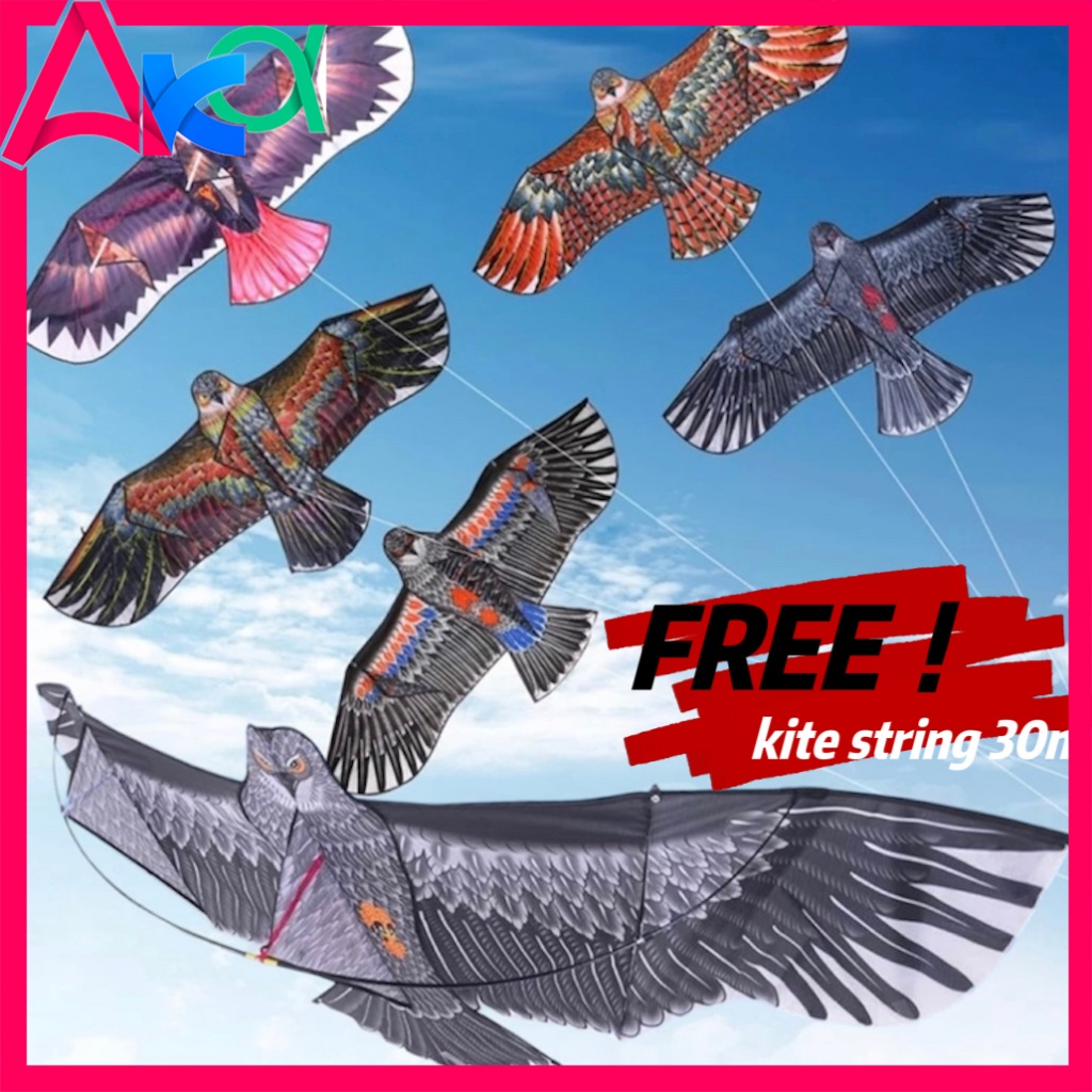 Eagle kite for kids with string kite for adult long tail kite flying ...