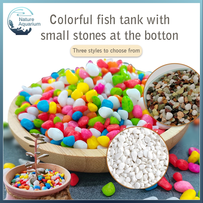 Selected White Pebbles Stones Colorful Rocks Natural stone Aquarium ...