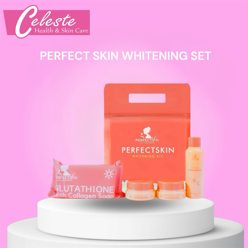 PERFECT SKIN MAINTENANCE SET | Shopee Philippines