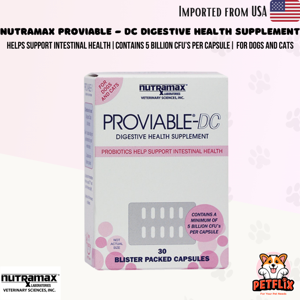 Nutramax Proviable DC Digestive Health Supplement Probiotics and ...