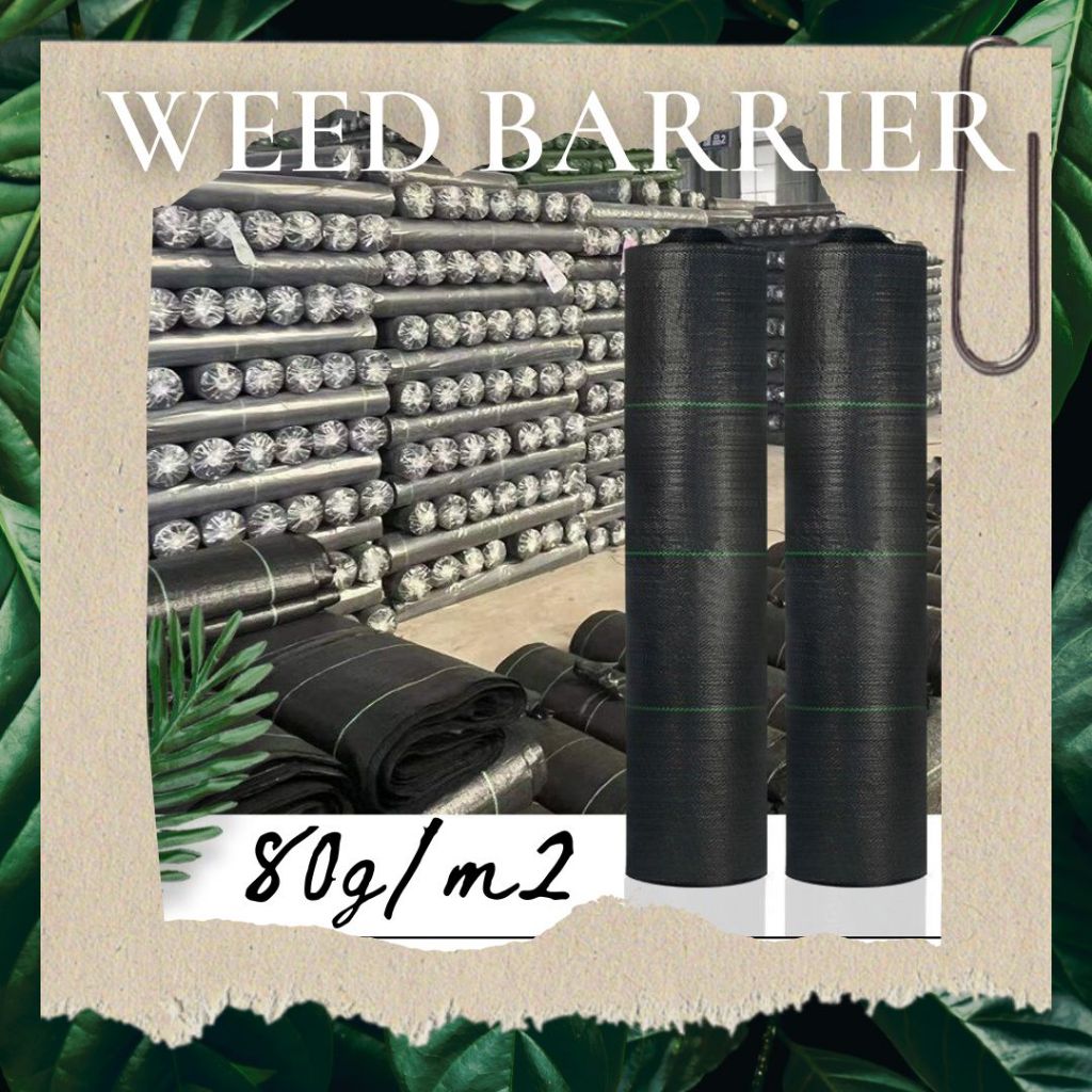 COD WEED BARRIER FABRIC HEAVY DUTY FILM ANTI GRASS FOR GARDEN 80g/m2 ...