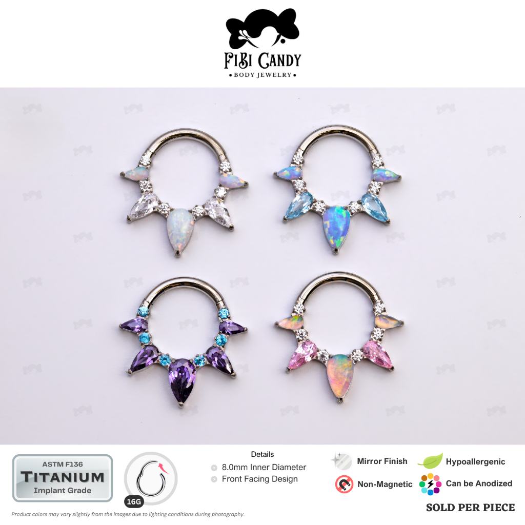 FiBiCandy HSR0064 Yasmina 16G Astm F136 Titanium Implant Grade Earring ...