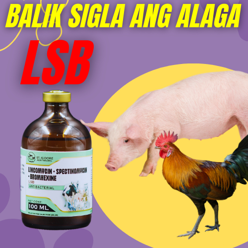LSB Lyncomycin + Spectinomycin + Bromhexine Antibacterial Injectables ...