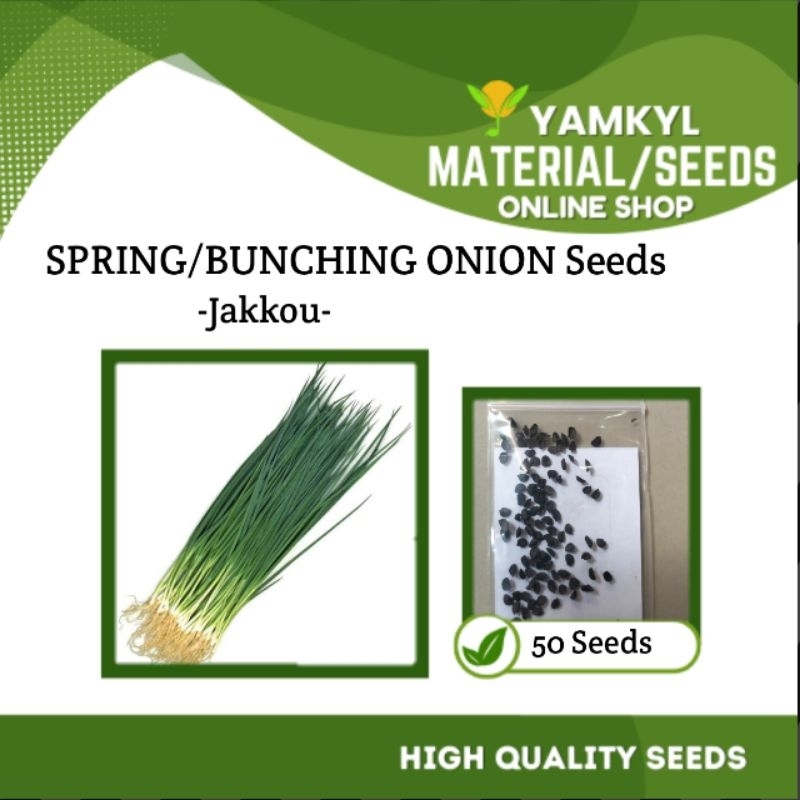 SPRING ONION/DAHON NG SIBUYAS Seeds High quality vegetable seeds ...