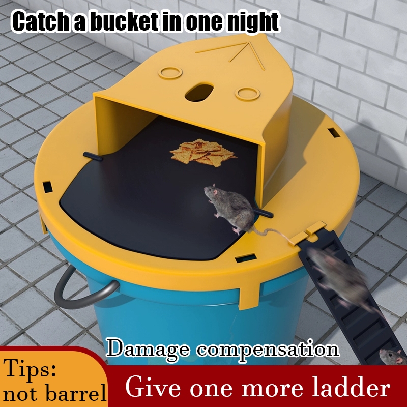 mouse rat trap for big mouse small rats rodent rat killer for home pang ...