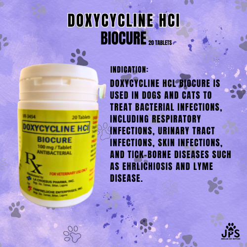 Biocure Doxy for dogs and cats (20 tablets) | Shopee Philippines
