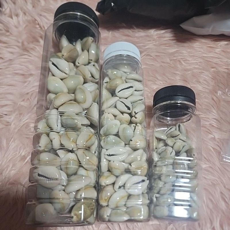 Small/ Med /Big Sungka shells/Sigay (105 pcs) | Shopee Philippines