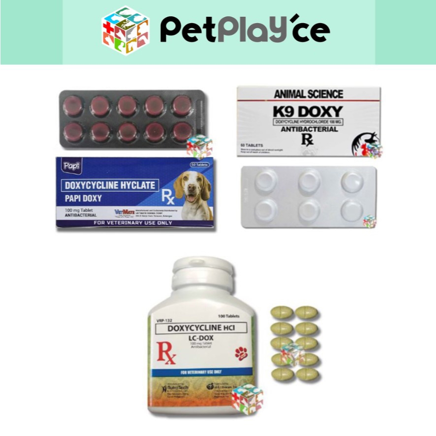 Papi Doxy / LC Dox / K9 Doxy per Box 100mg Doxycycline Hyclate ...