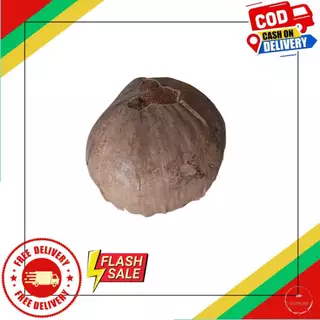 Shop bunot for Sale on Shopee Philippines