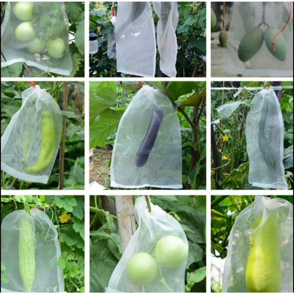 10 pcs mesh seed bags nylon insect-proof mesh bags anti-fruit fly bags ...