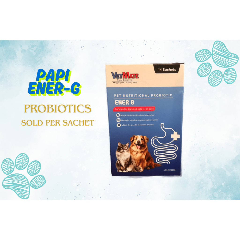 Papi Ener-G Probiotic PER SACHET (Bifidobacterium Lactobacillus ...