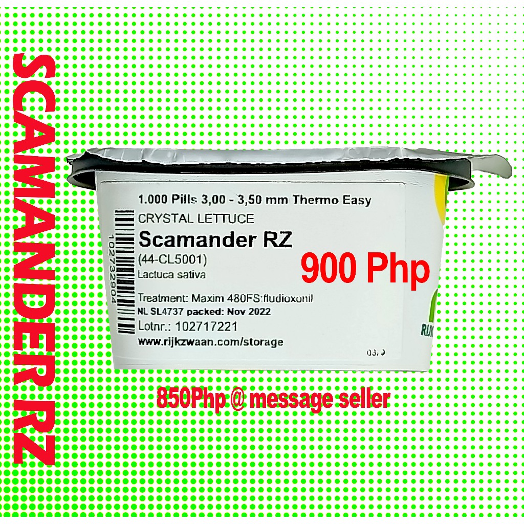 SCAMANDER RZ lettuce seeds by RZ plus free seeds of MAXIMUS seeds ...