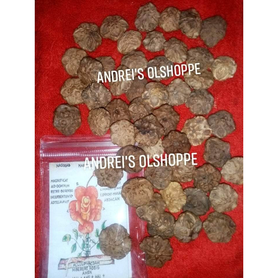 Rosa mistika/Gumamela celis (1pcs)Kasama na orasyon at dasal/Talandro ...