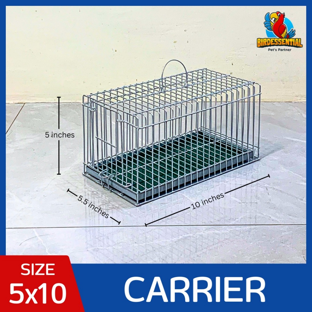 Metal Carrier Cage (5x10) for small Pets and Birds Canary, Lovebirds ...