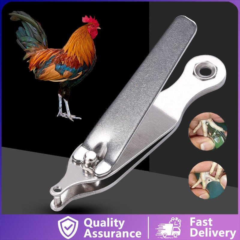 【COD】2mm Gamefowl Rooster Toe Puncher for Chicks Nail Cutter Type toe ...