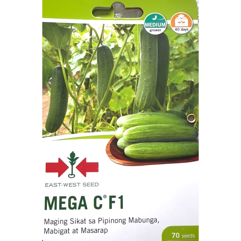 MEGA C F1 HYBRID SEEDS BY EAST WEST SACHET ( CUCUMBER ) | Shopee ...