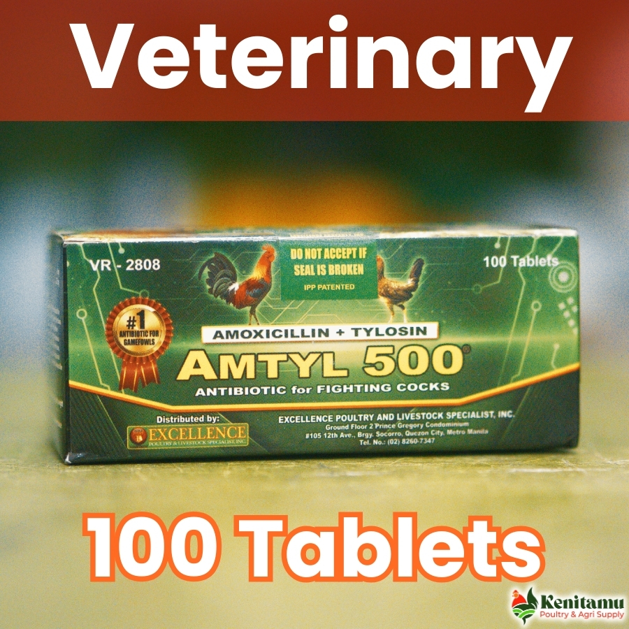 AMTYL 500 ANTIBIOTIC 100 TABLETS | Shopee Philippines