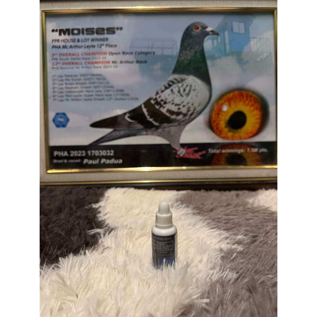 Reload Plus 10 ml for racing pigeon | Shopee Philippines