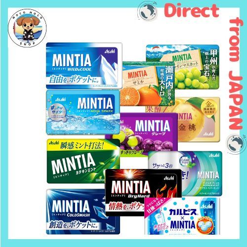 Asahi Group Foods Mintia 50 pellets (7g) | Shopee Philippines