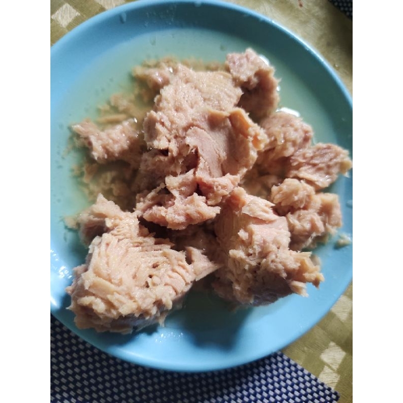 Tuna Chunks in Oil 200g (Export Quality) | Shopee Philippines