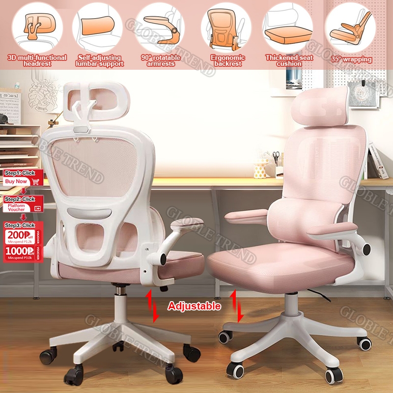 Adjustable Armrest Chair Ergonomics Chair Double Lumbar Support Chair ...