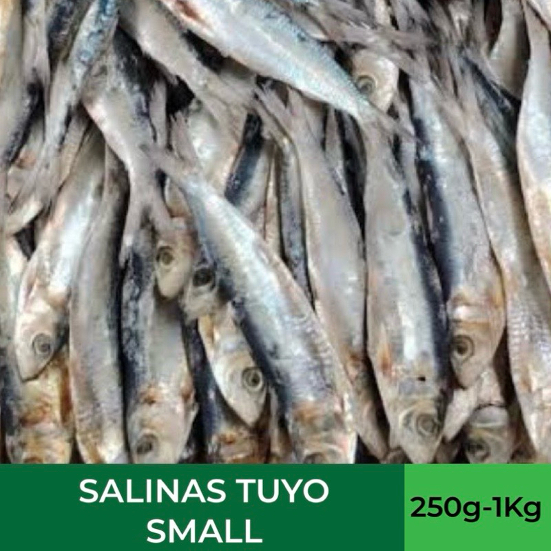 DFP Dried Fish Salinas Tuyo 250g | 500g |1Kilo Size: Small TMA (VACUUM ...