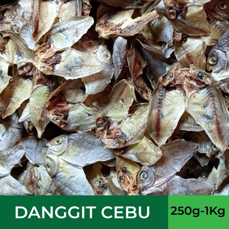 DFP Dried Cebu Danggit 250g | 500g | 1 Kilo (Vacuum Sealed | Resealable ...