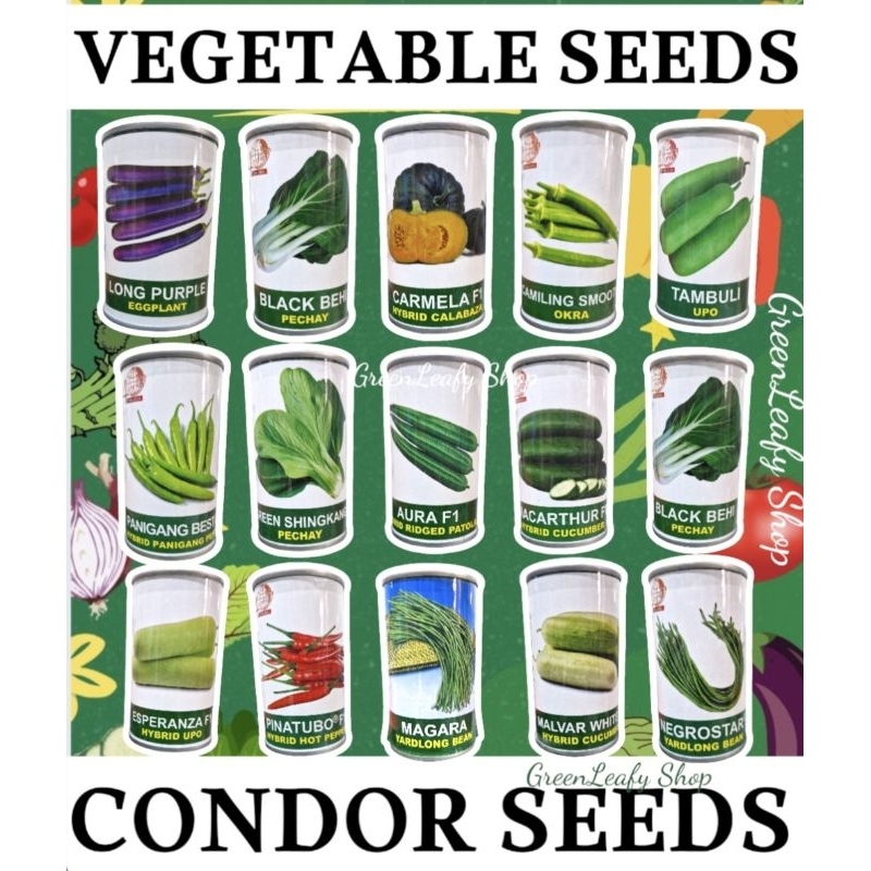 Condor High Quality Vegetable Seeds in Can(Lata)/ Gulay /Buto ng Gulay ...