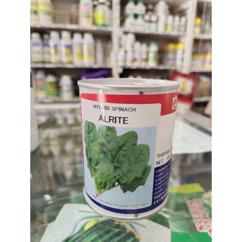 ALRITE SPINACH SEEDS 100grams | Shopee Philippines