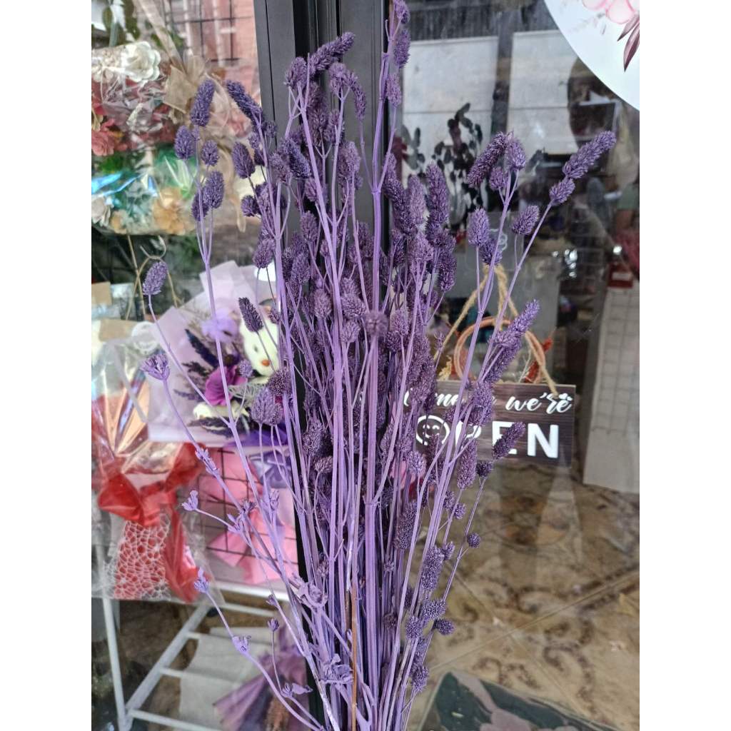 DRIED LOCAL MOBY FLOWER FILLER SOLD PER SET OF STEMS FLOWERS MAY LAST ...