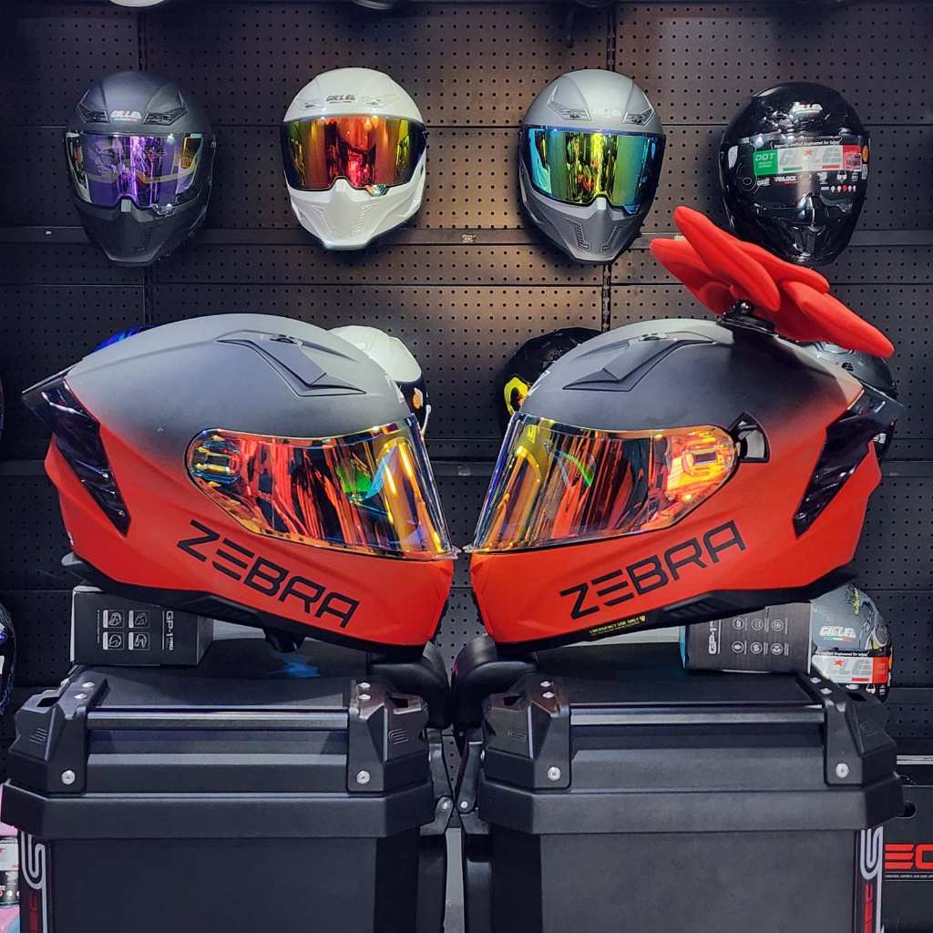 Zebra Paradigm Couple Helmet Full face Dual visor Motorcycle Helmet ...